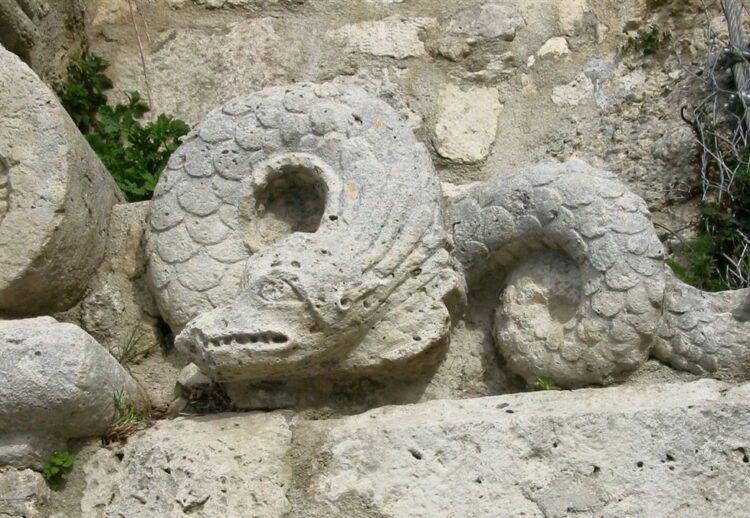 Biddrina, il gigantesco serpente che vive in Sicilia - Quotidiano di Ragusa