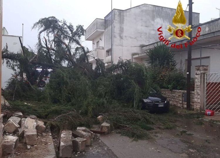Maltempo, tromba d'aria nel Salento: danni FOTO - Quotidiano di Ragusa
