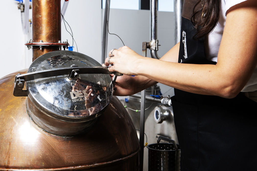 A Modica nasce la prima distilleria di Rum con coltivazione di canna da ...